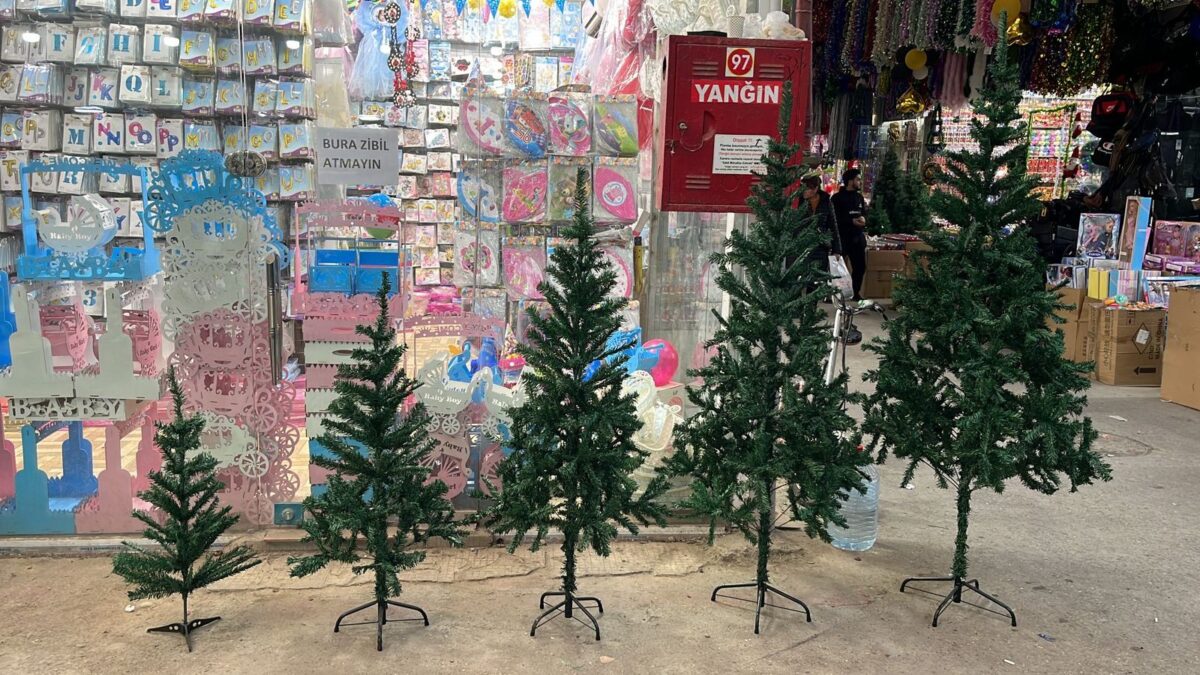 Yolka agaclari | Yolka qiymetleri - hediyyem.az